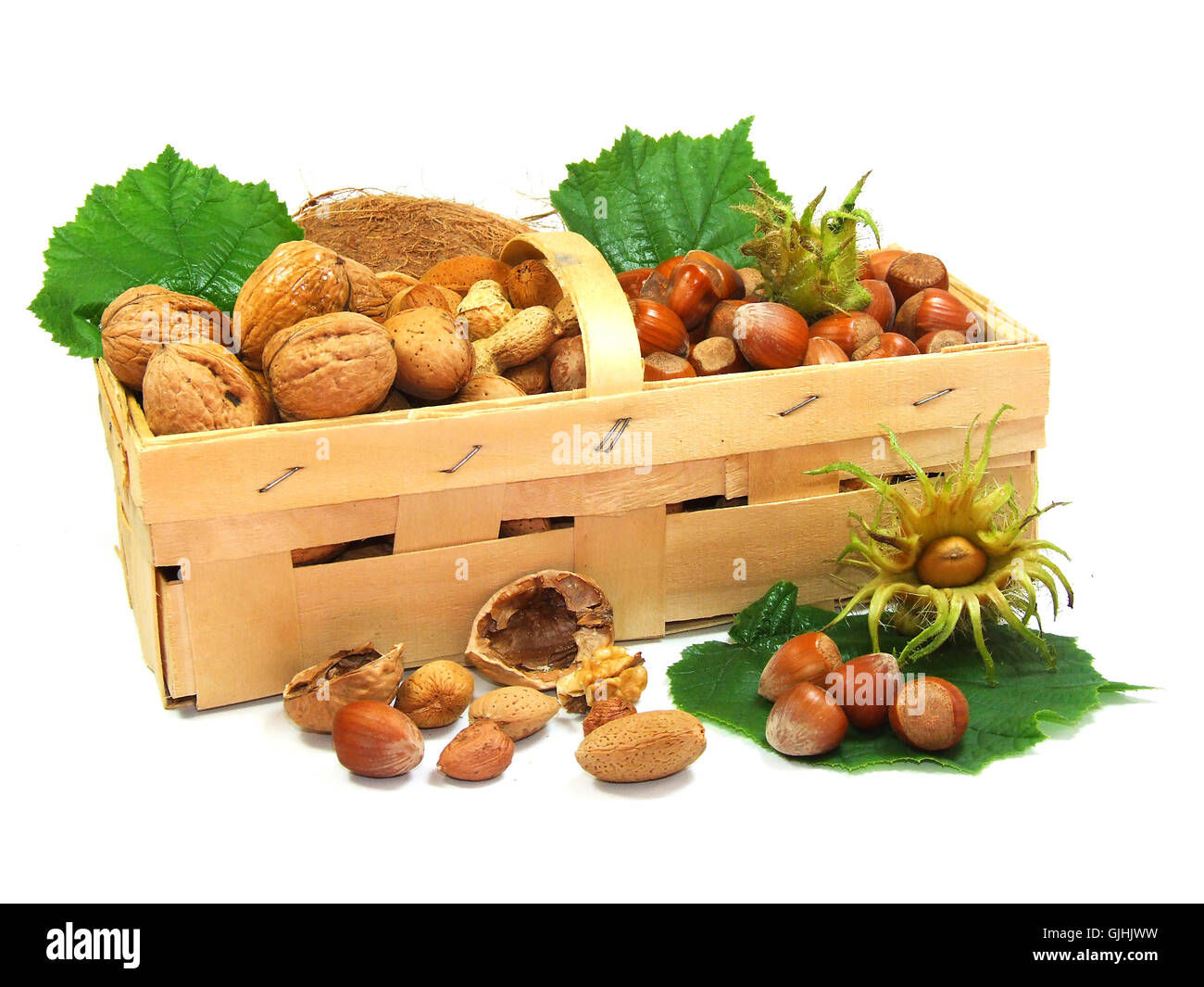 Paranuss hi-res stock photography and images - Alamy