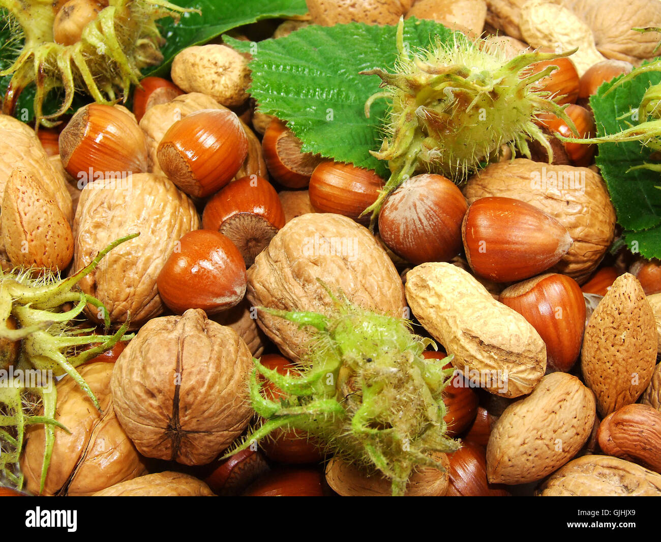 Winter nuts hi-res stock photography and images - Alamy