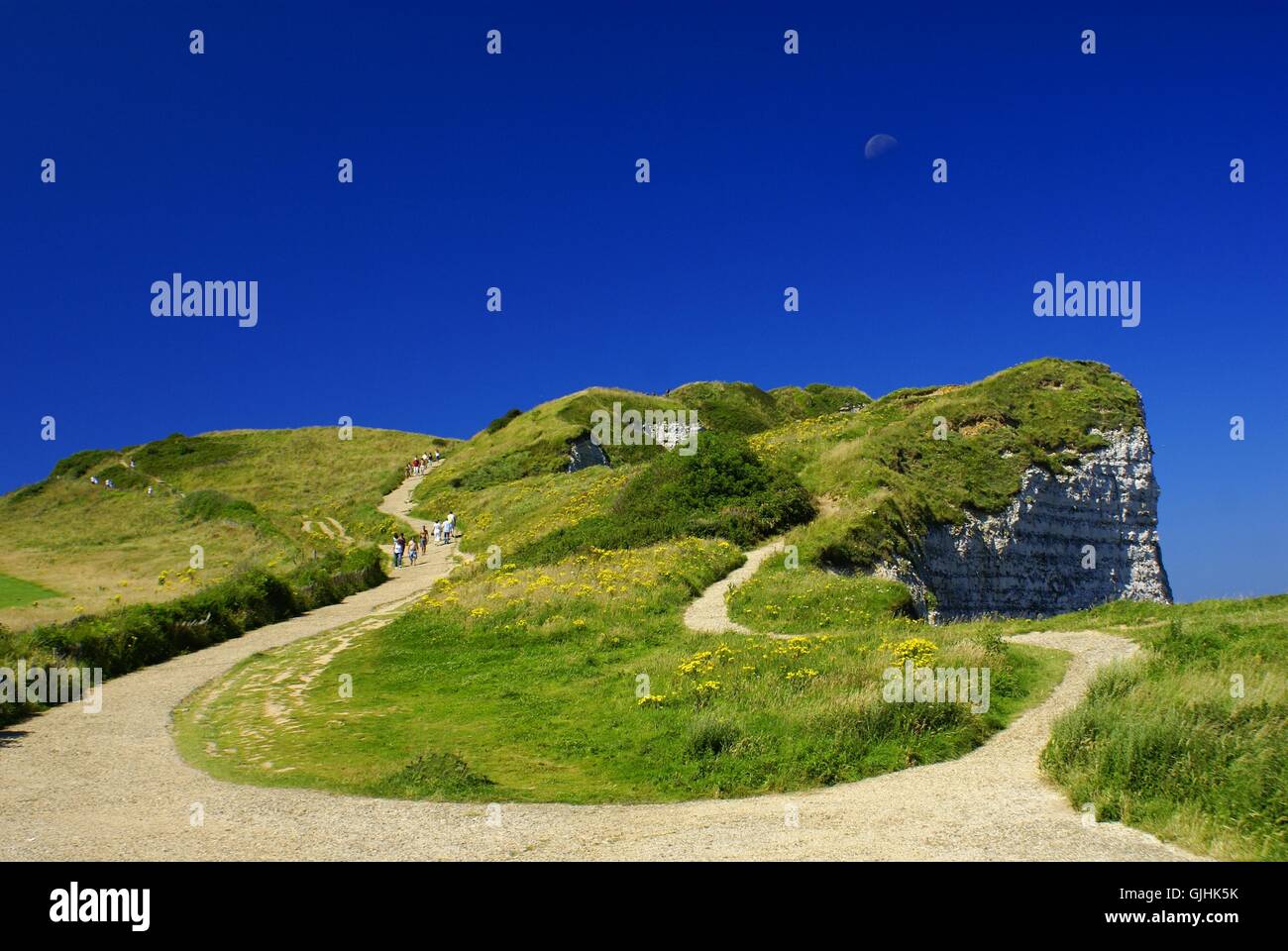 Green stairs hi-res stock photography and images - Alamy
