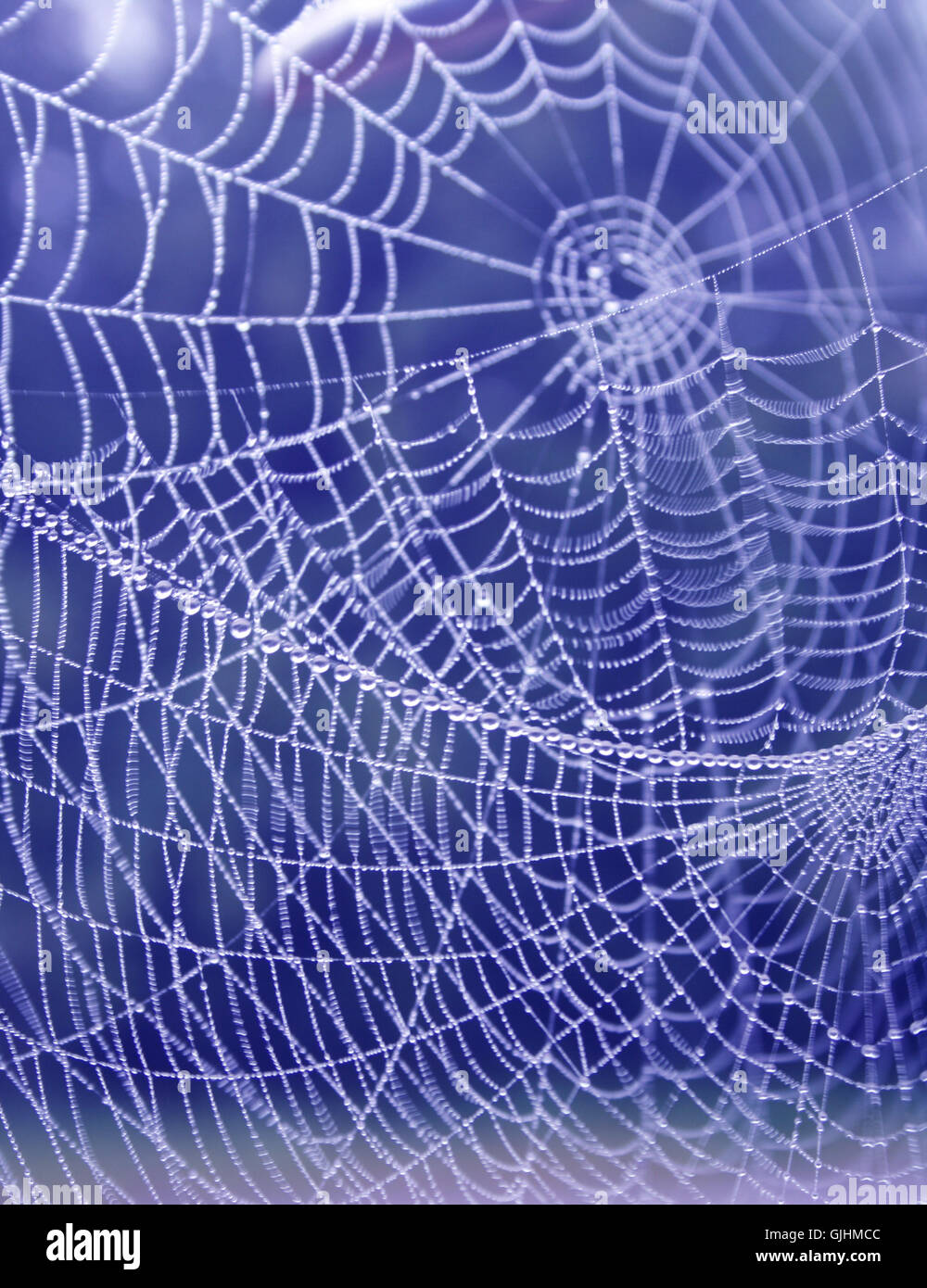 work of art net thread Stock Photo - Alamy