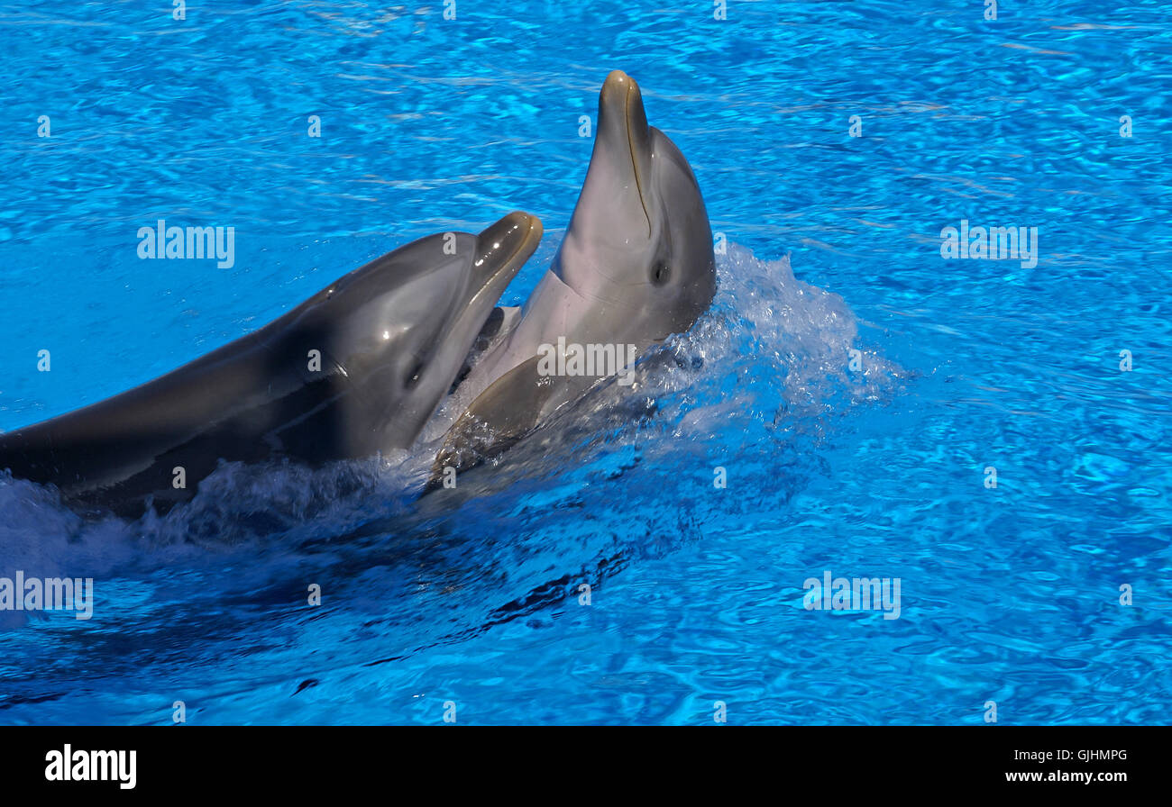 Overture hi-res stock photography and images - Alamy