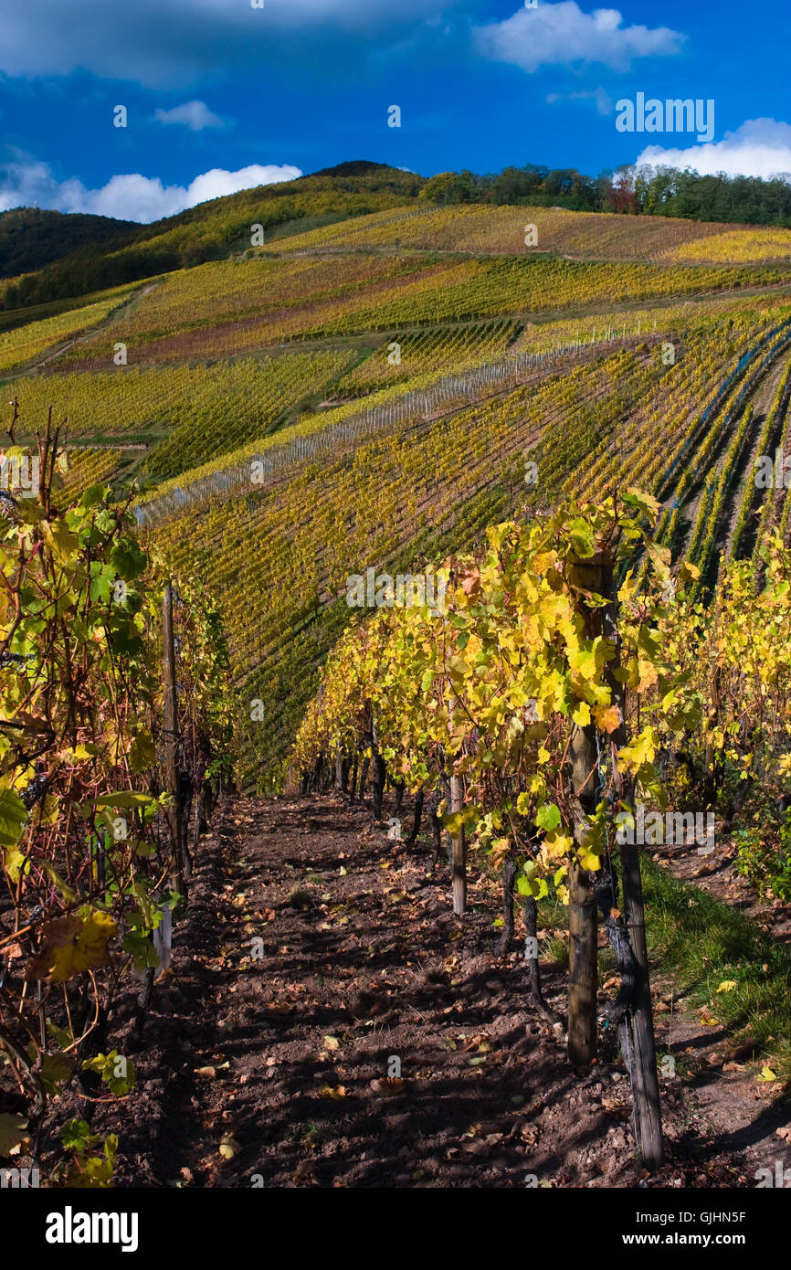 hill agriculture farming Stock Photo - Alamy