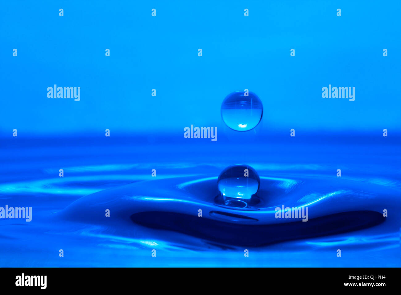 blue macro close-up Stock Photo - Alamy