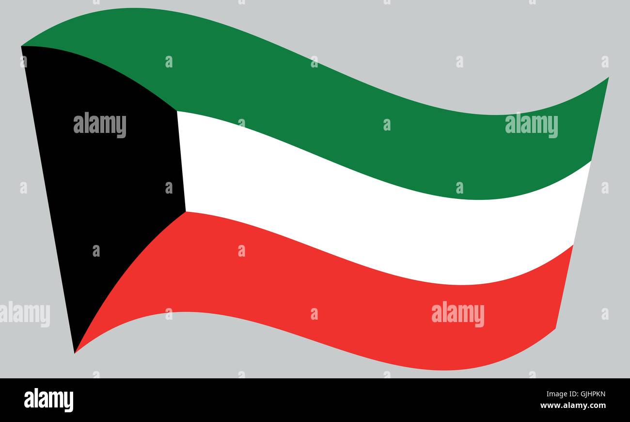 Flag of Kuwait waving on gray background. Kuwait national flag Stock ...