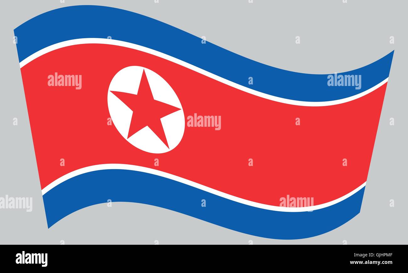 Flag of North Korea, Democratic Peoples Republic of Korea waving on ...