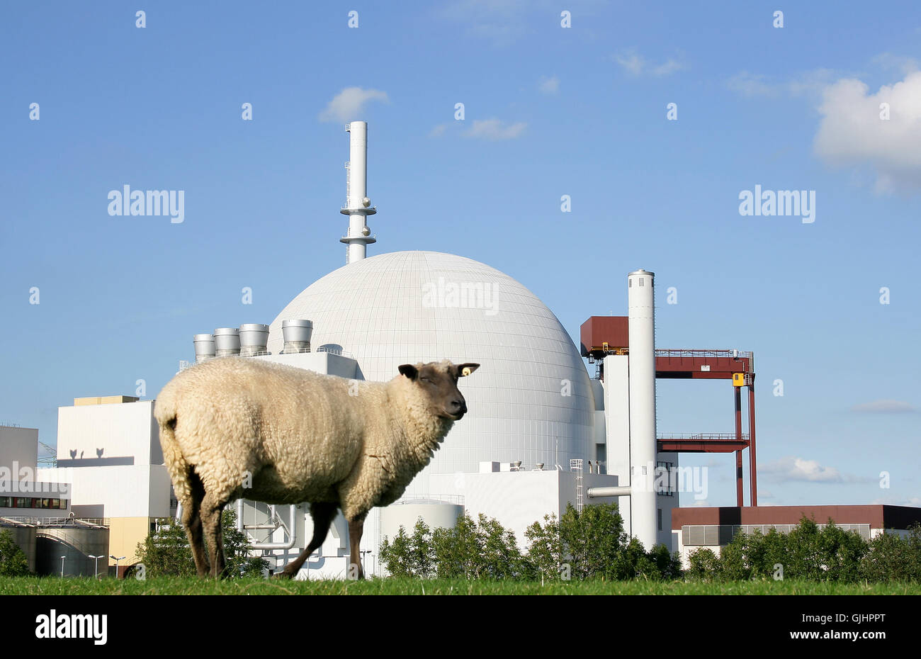 animal green energy Stock Photo - Alamy