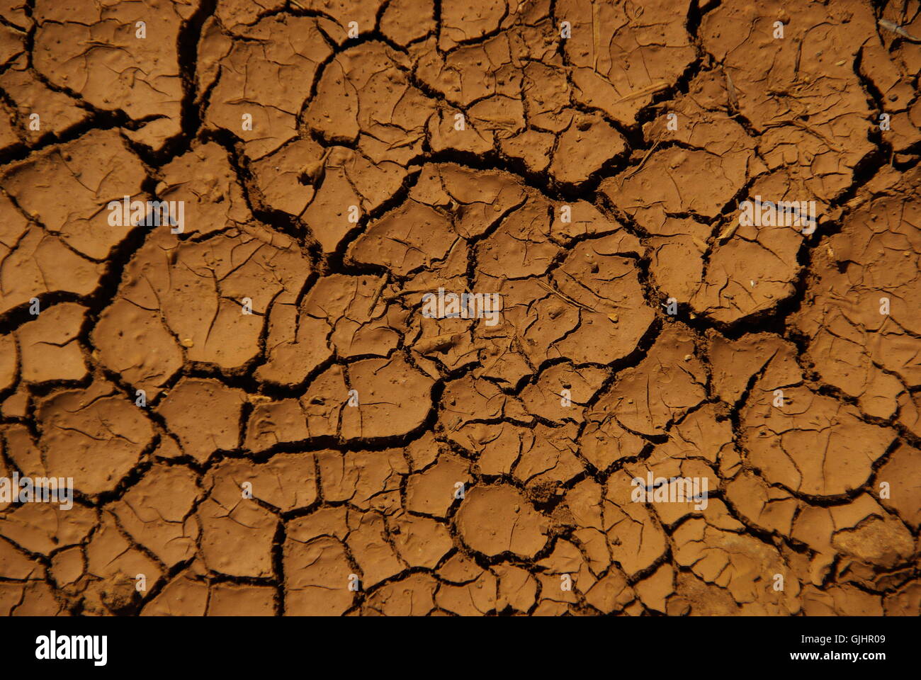 environment enviroment dryness Stock Photo - Alamy