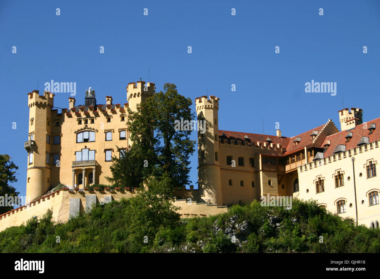 blue tree tourism Stock Photo - Alamy