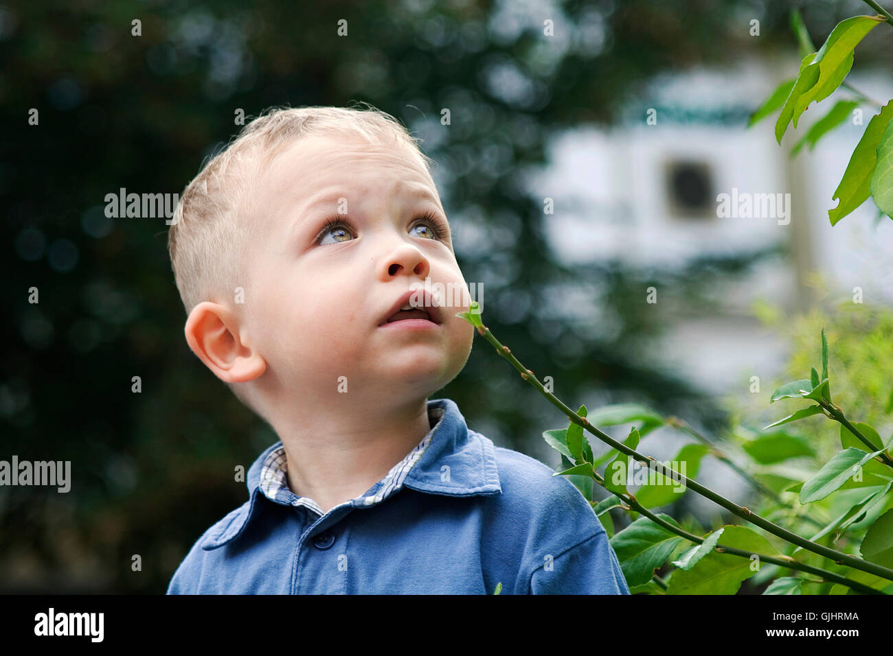 green portrait look Stock Photo - Alamy