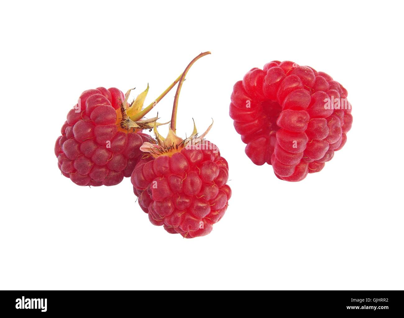 Raspberry stalk hi-res stock photography and images - Alamy