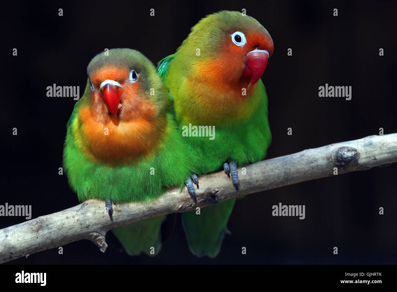 Coloured love hi-res stock photography and images - Alamy