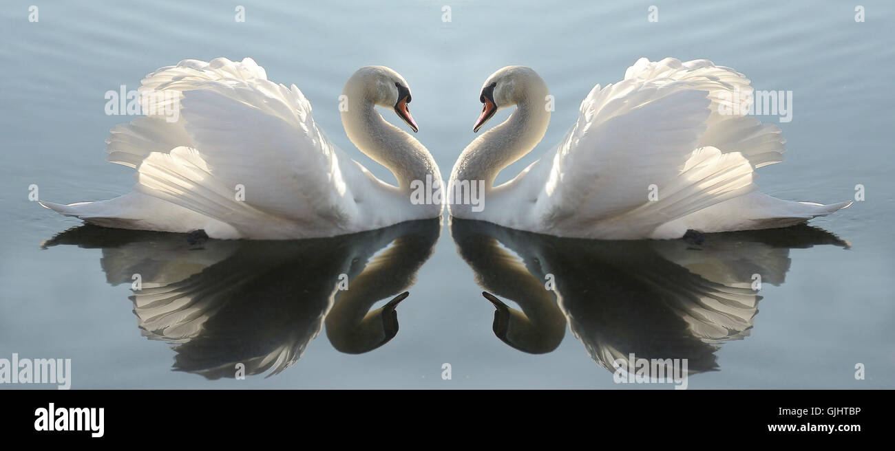 Color and bw hi-res stock photography and images - Alamy