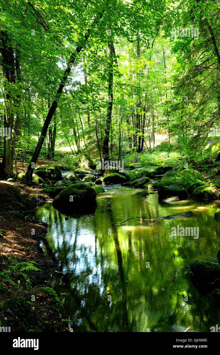 Shady existence hi-res stock photography and images - Alamy