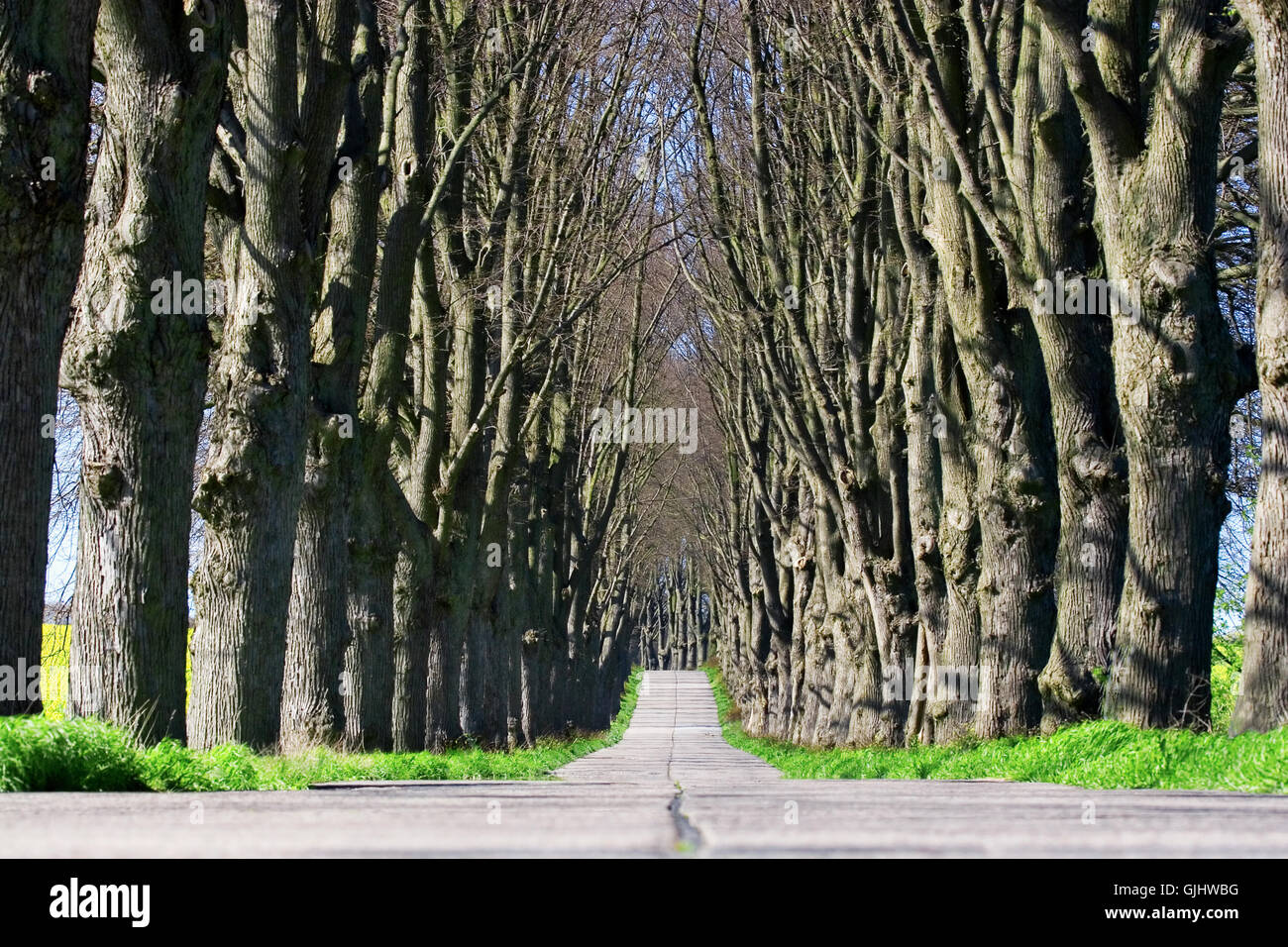 way to infinity Stock Photo - Alamy