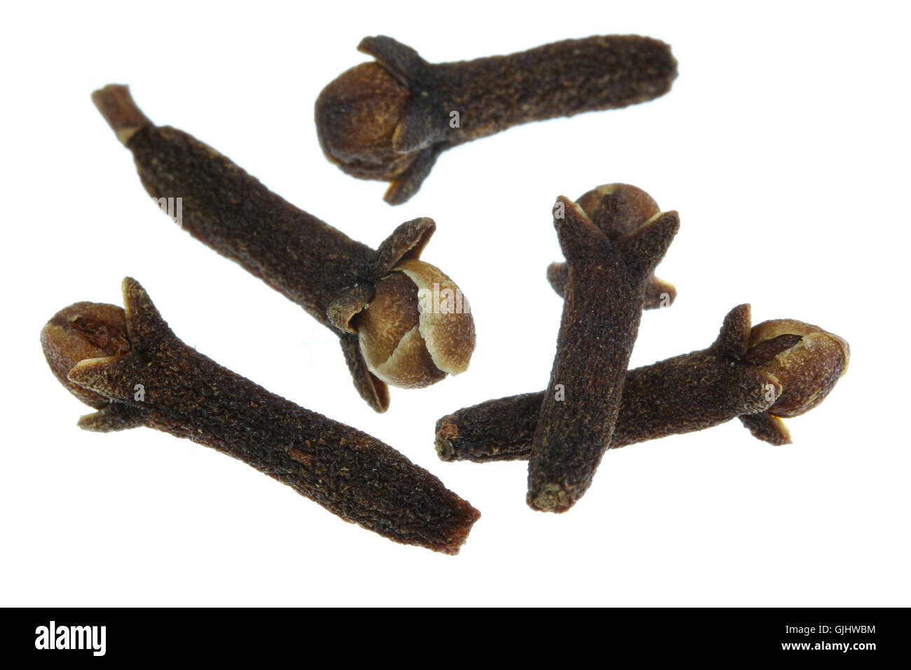 cloves macro close-up Stock Photo - Alamy