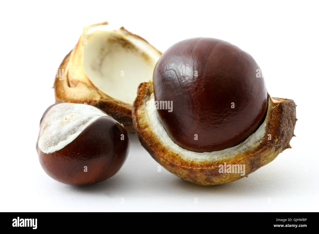 chestnuts chestnut macro Stock Photo - Alamy