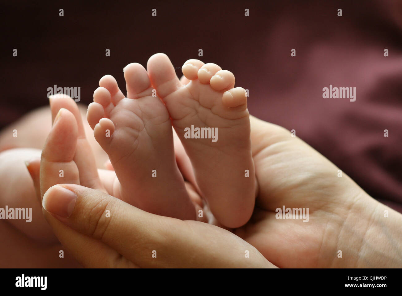 baby delicate salvaged Stock Photo - Alamy