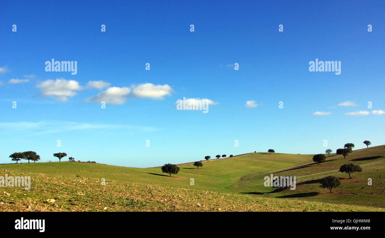 Cloud and tree hi-res stock photography and images - Alamy