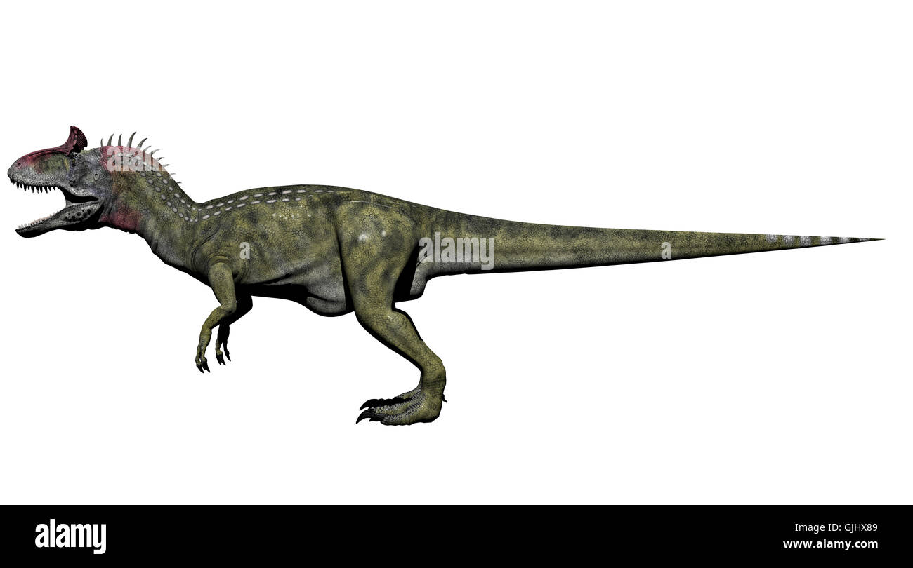 Dinosaur hunting hi-res stock photography and images - Alamy