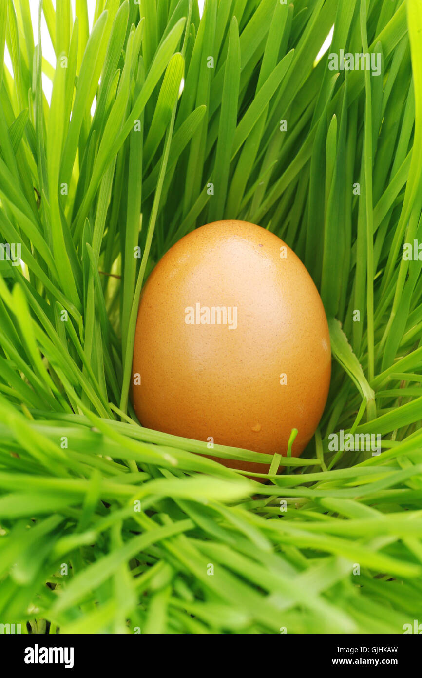 blue religion religious Stock Photo - Alamy