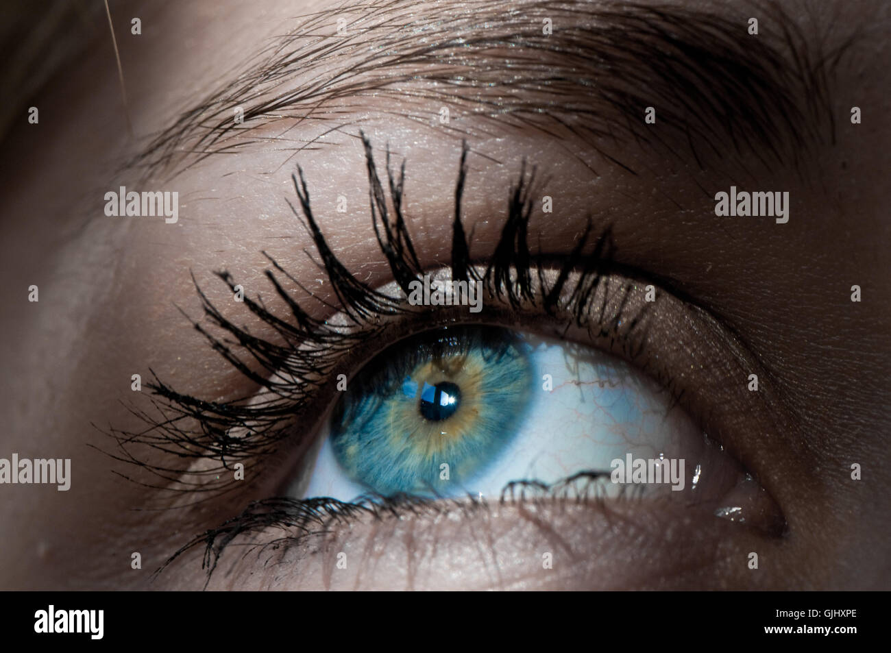 Female organ hi-res stock photography and images - Alamy