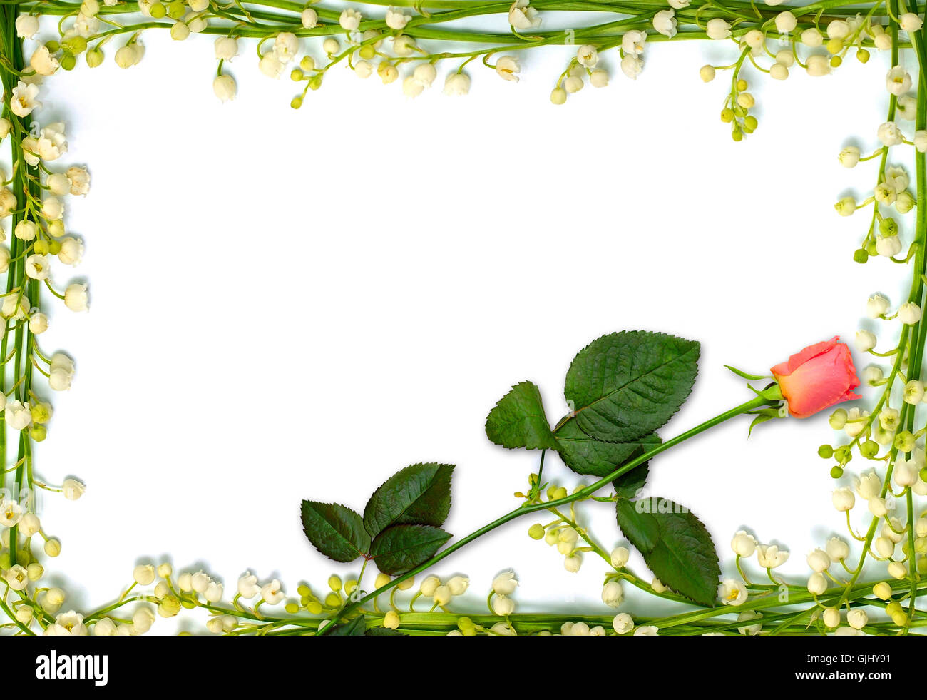 Rose page border hi-res stock photography and images - Alamy