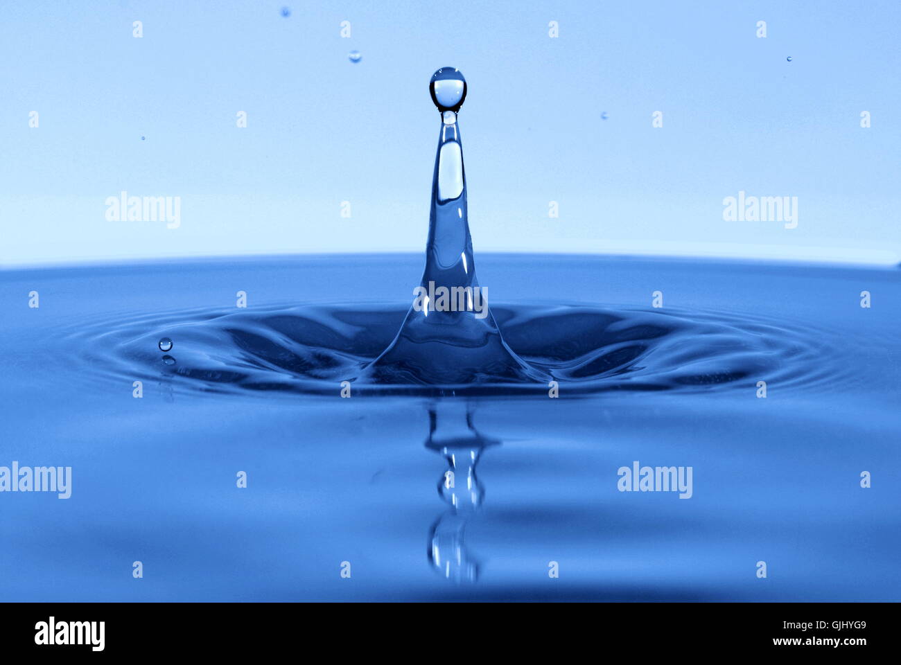 blue macro close-up Stock Photo - Alamy