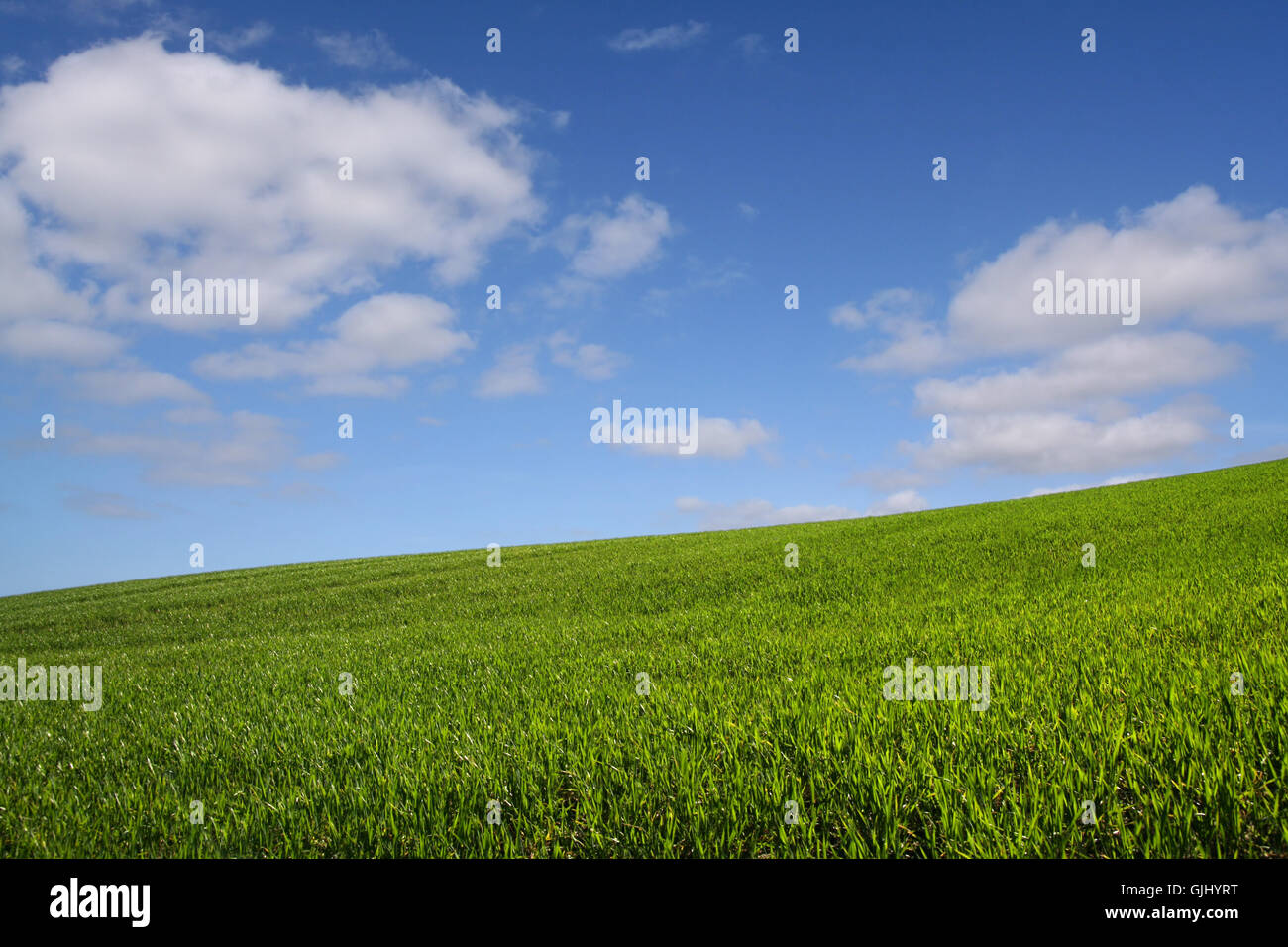 hill agriculture farming Stock Photo - Alamy