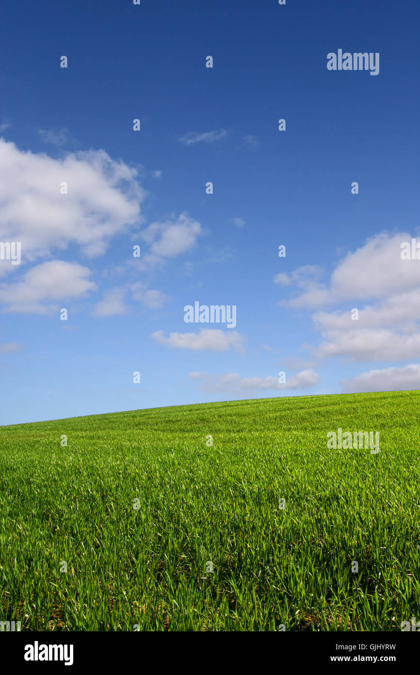hill agriculture farming Stock Photo - Alamy