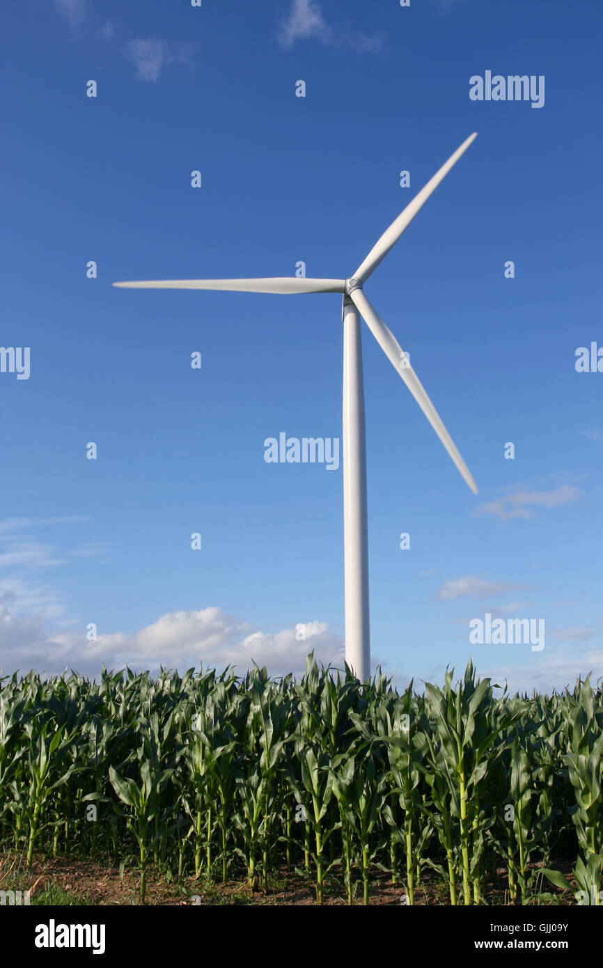 Environment enviroment green agriculture hi-res stock photography and ...