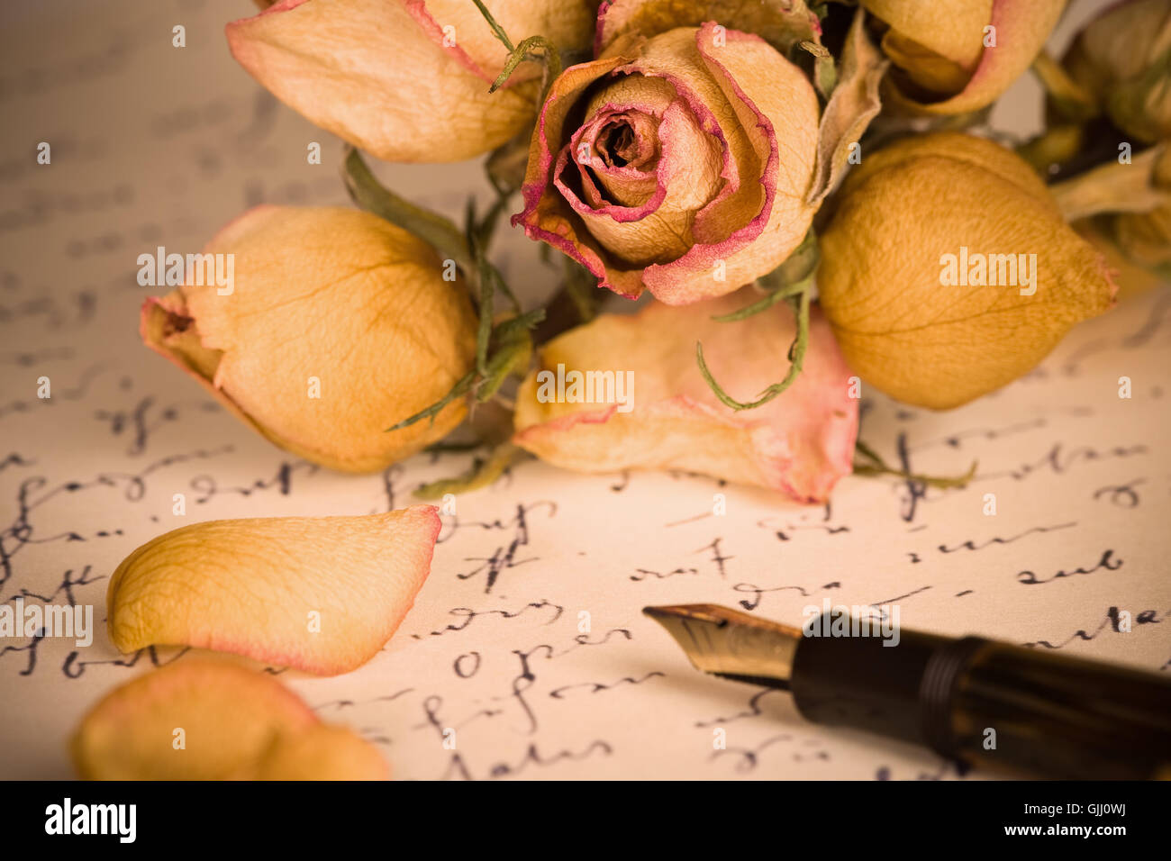 Handwritten letter in fountain pen hi-res stock photography and images ...