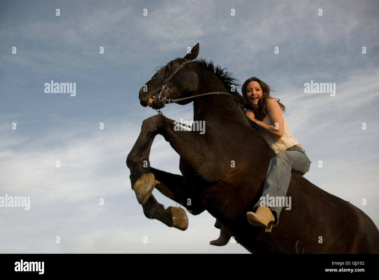 Horse teenager woman stallion hi-res stock photography and images - Alamy