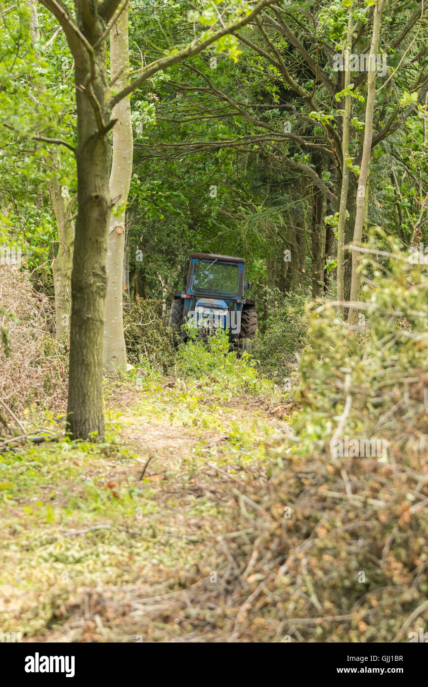 Forestry tractor in the wood Stock Photo - Alamy