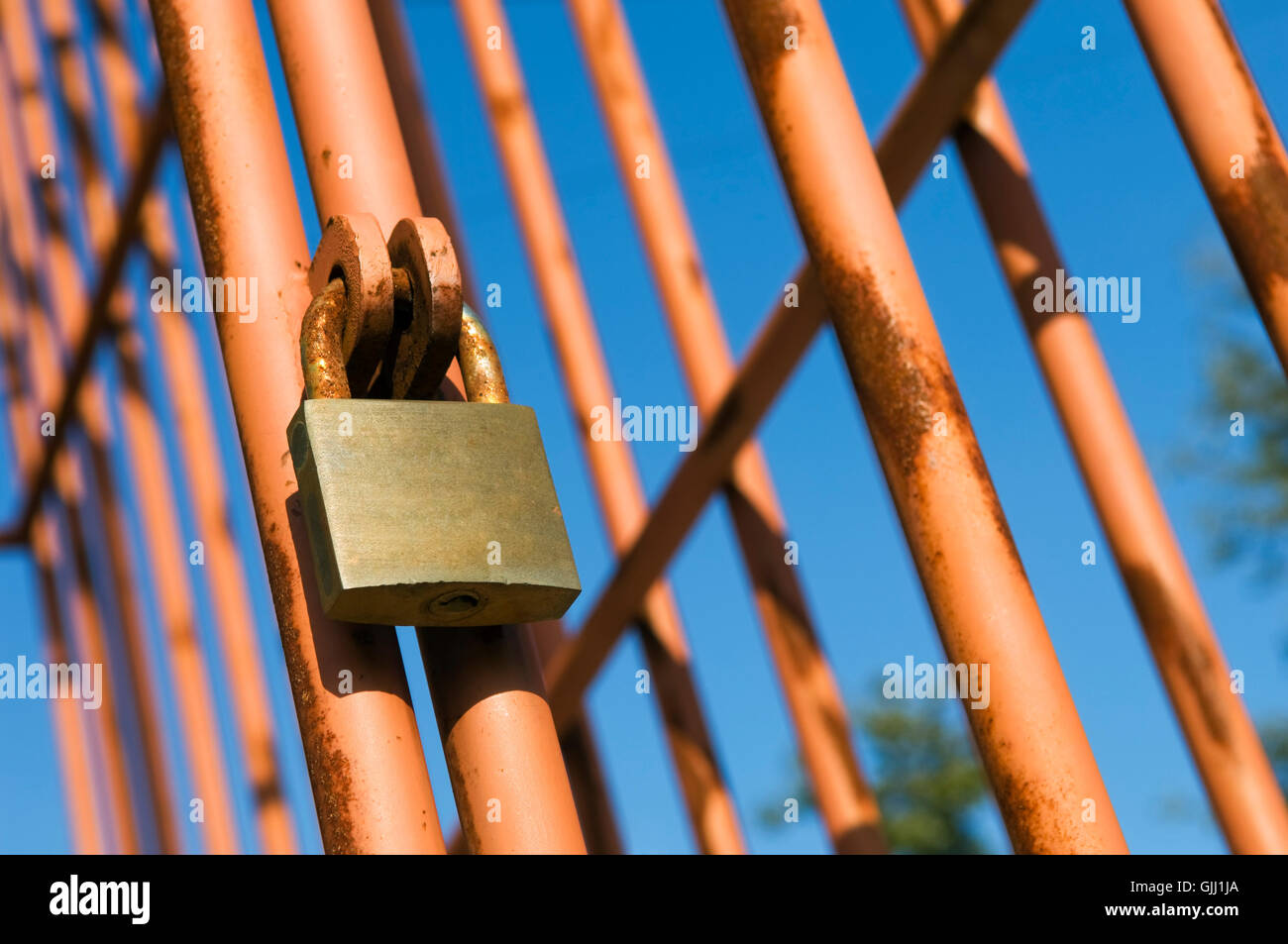 Cell formation hi-res stock photography and images - Alamy