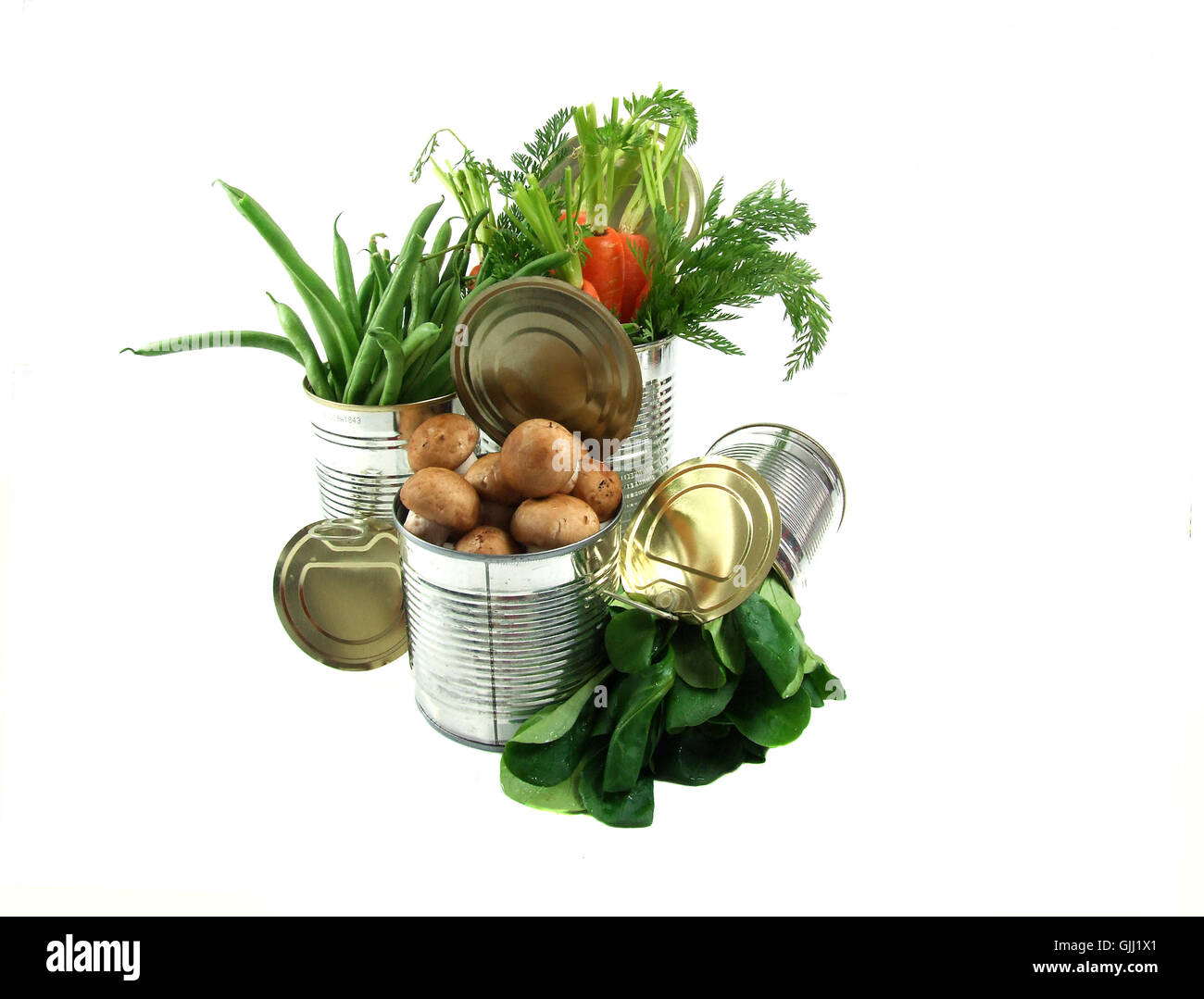 vegetable tins doze Stock Photo - Alamy