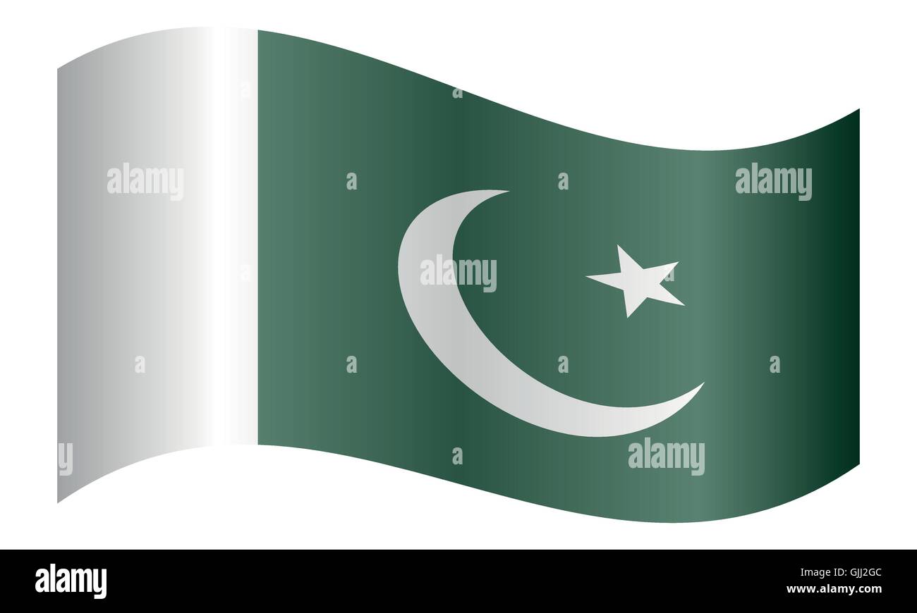 Flag of Pakistan waving on white background. Pakistani national flag ...