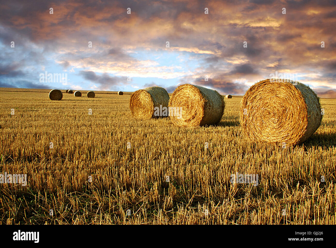 sunset agriculture farming Stock Photo - Alamy