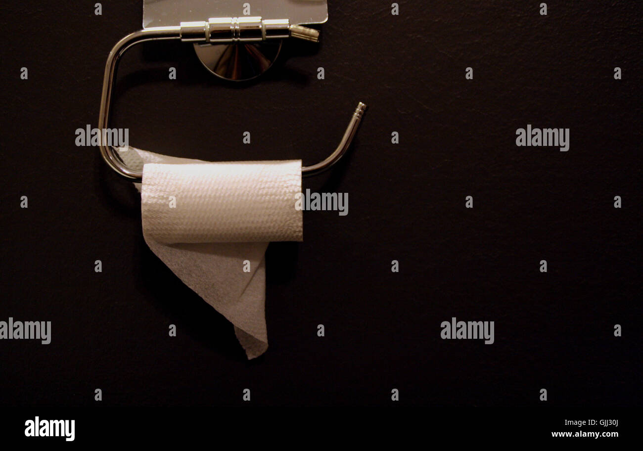 toilet toilet paper loo roll Stock Photo - Alamy