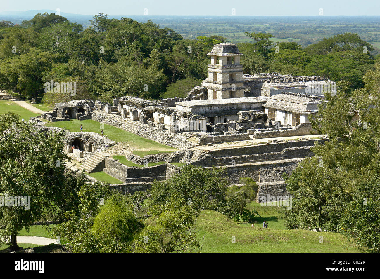 maya settlement palenque,mexico Stock Photo - Alamy