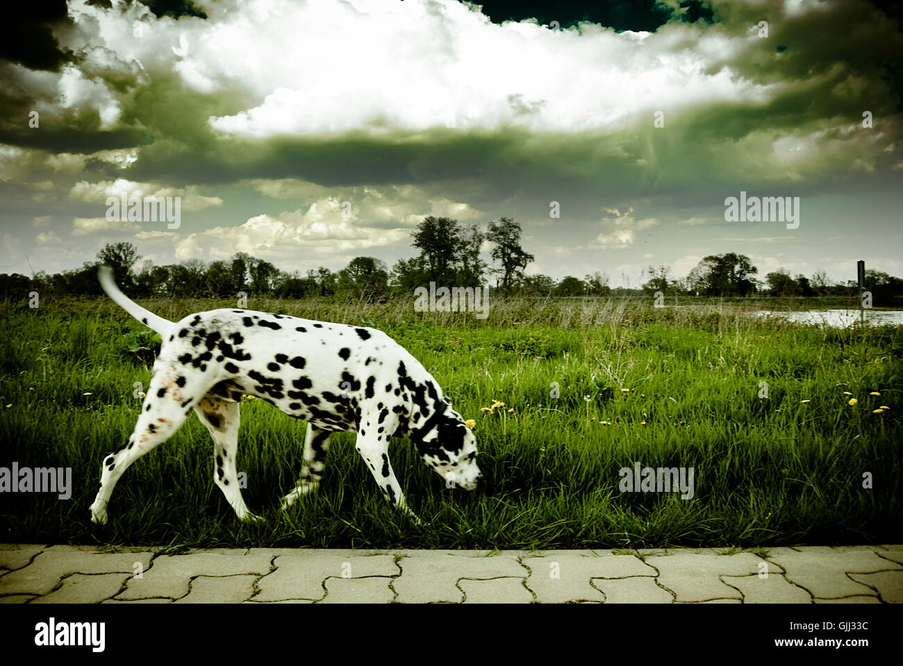 European existence hi-res stock photography and images - Alamy