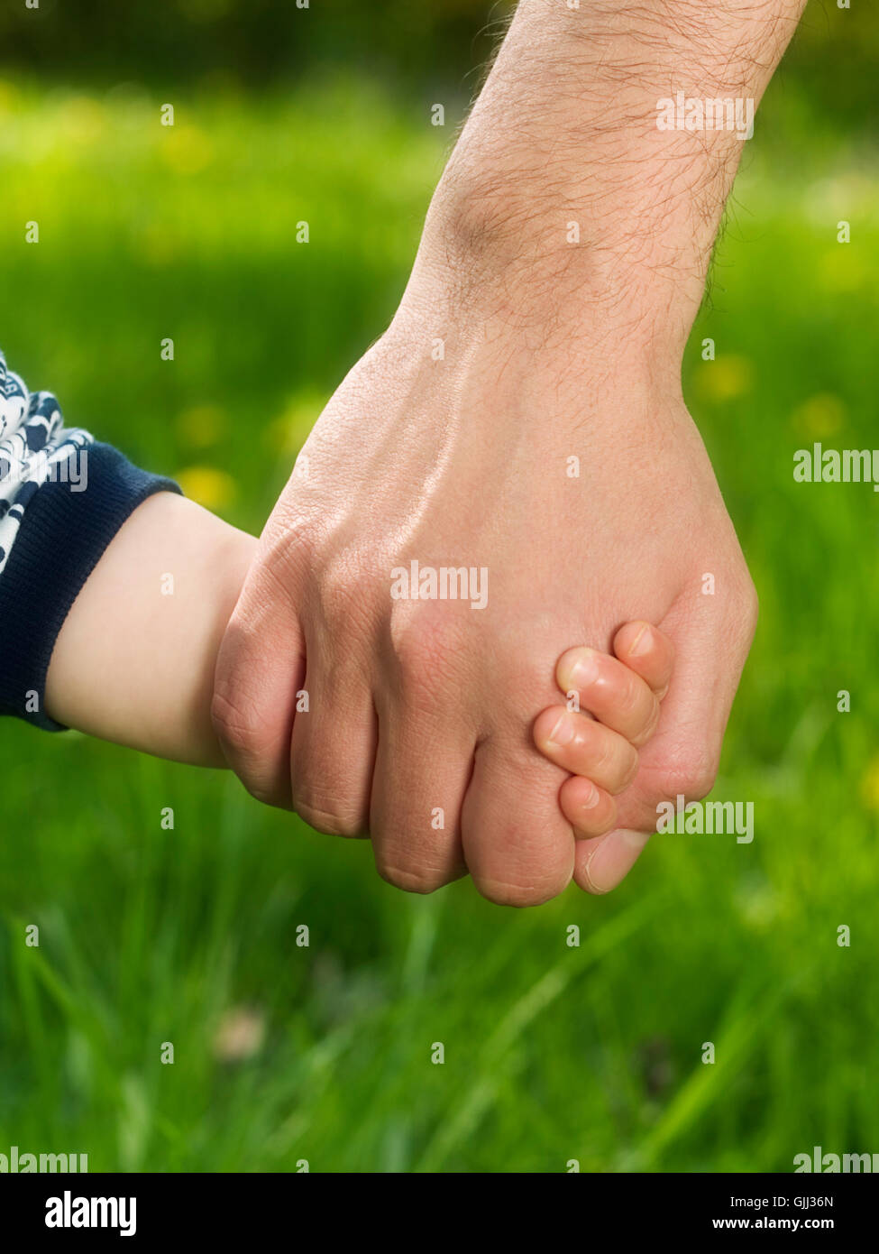 Palm parent hi-res stock photography and images - Alamy