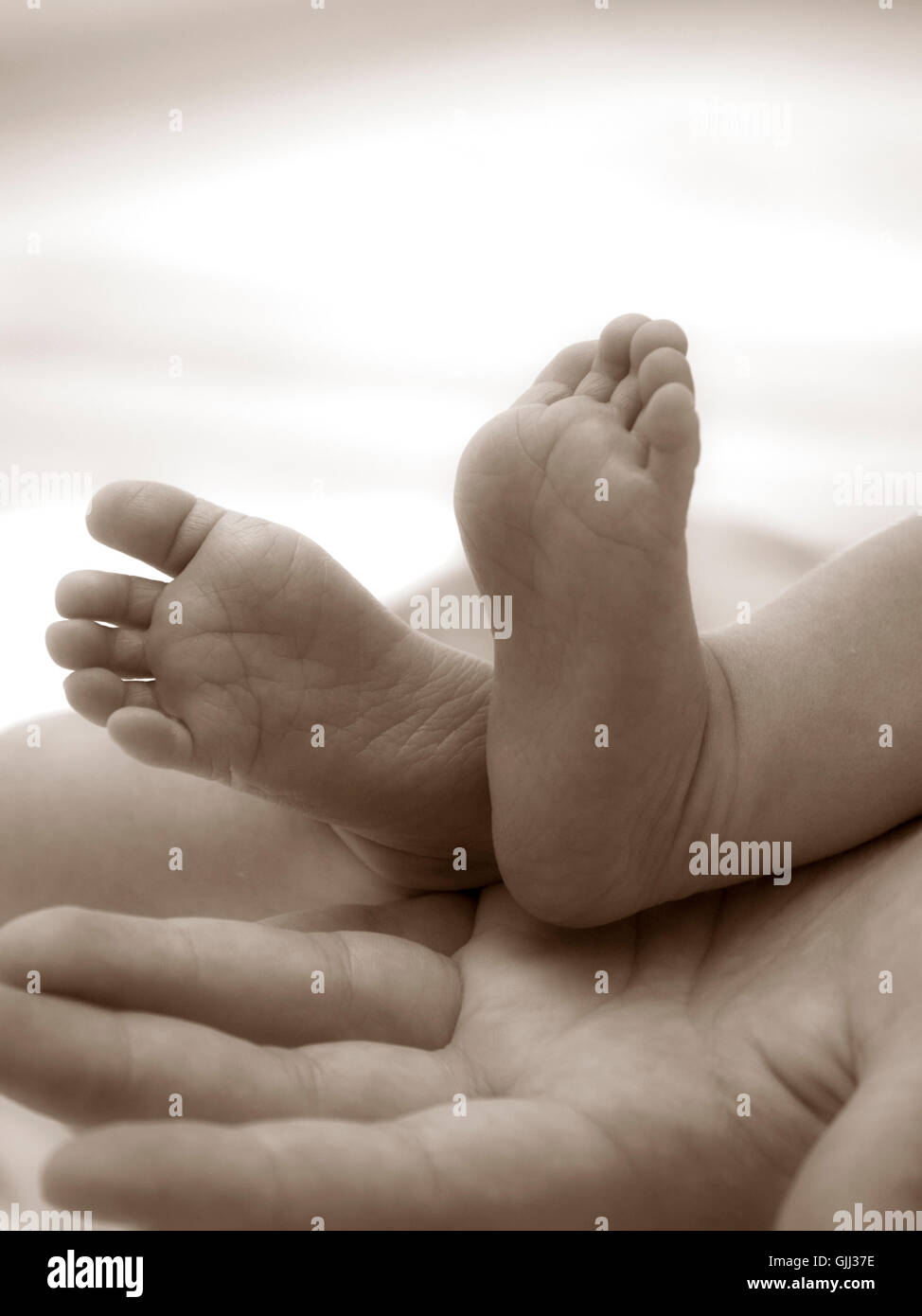 baby toe hand Stock Photo - Alamy