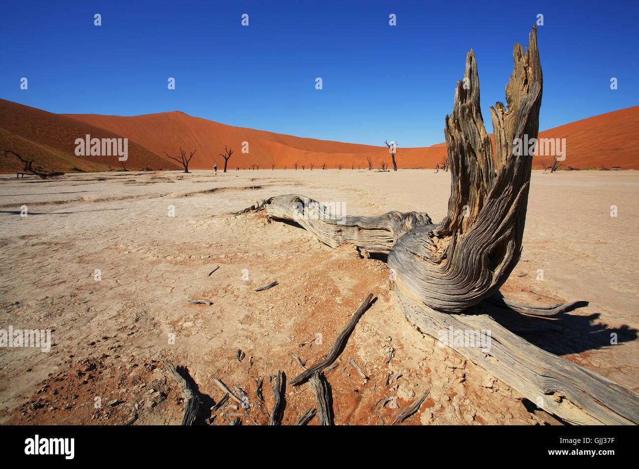 desert wasteland africa Stock Photo - Alamy