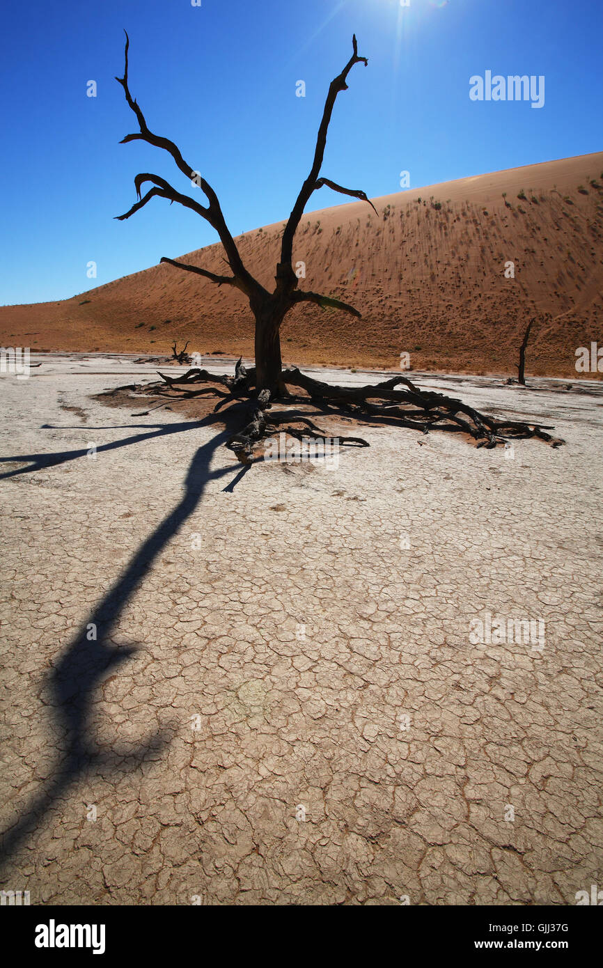 desert wasteland africa Stock Photo - Alamy