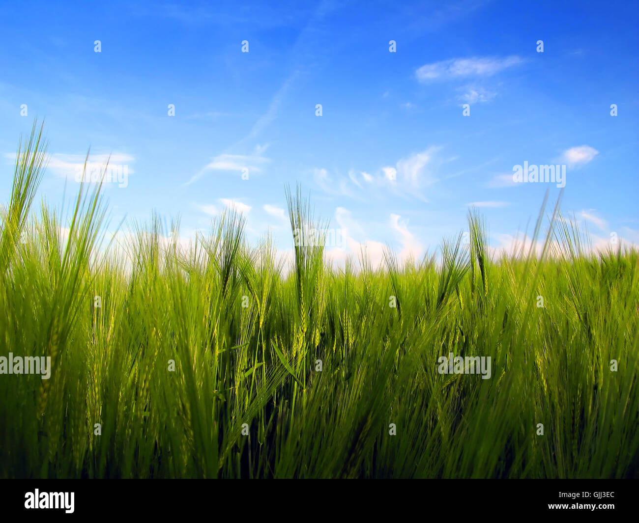 Firmament blue hi-res stock photography and images - Alamy