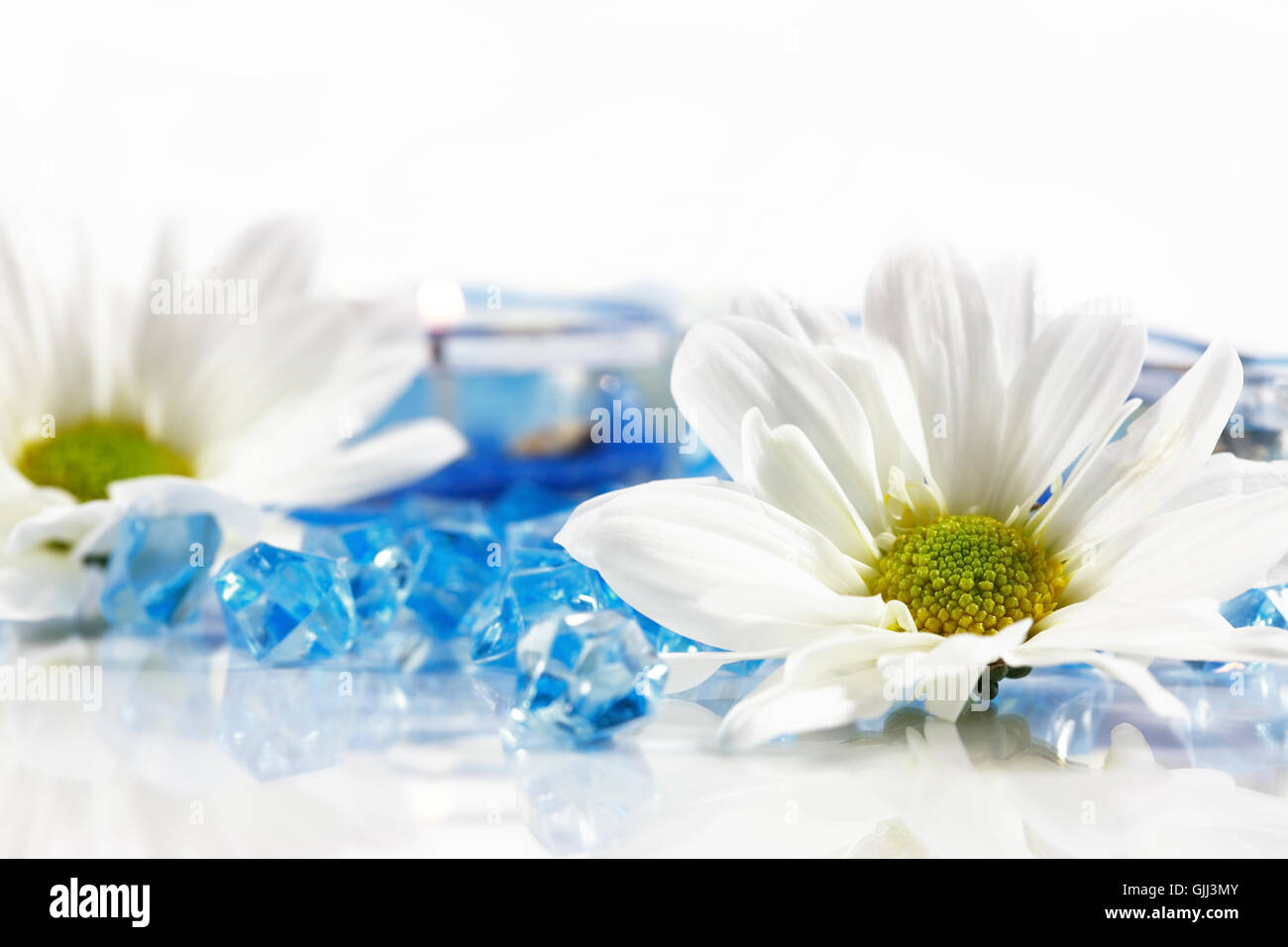 flower plant wellness Stock Photo - Alamy