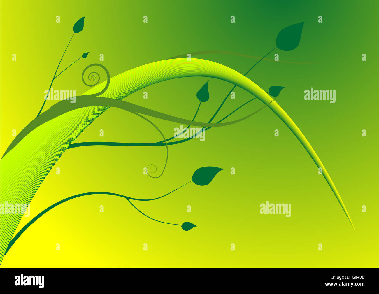 Leaf Vines High Resolution Stock Photography and Images - Alamy