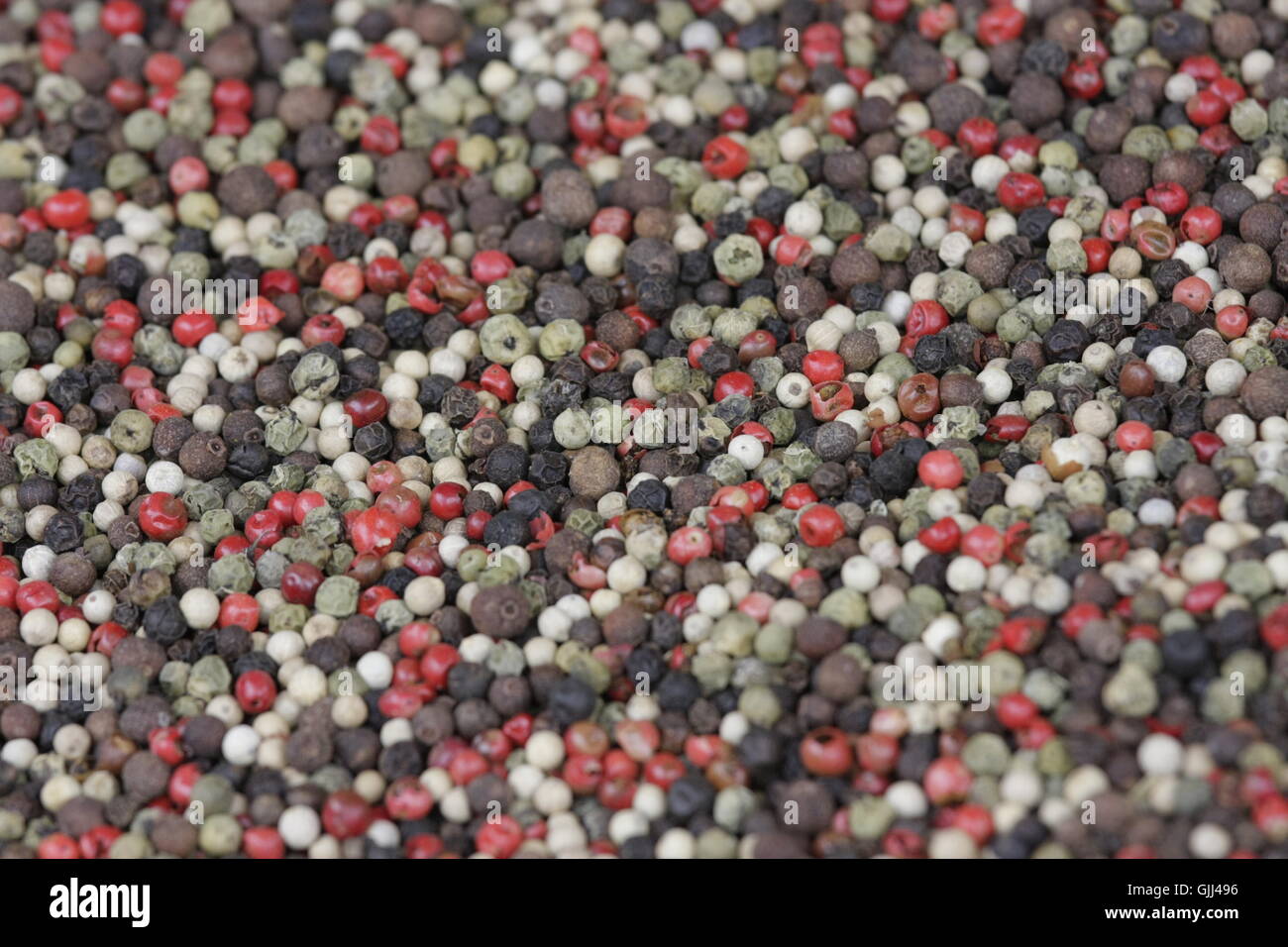 Flea pepper hi-res stock photography and images - Alamy