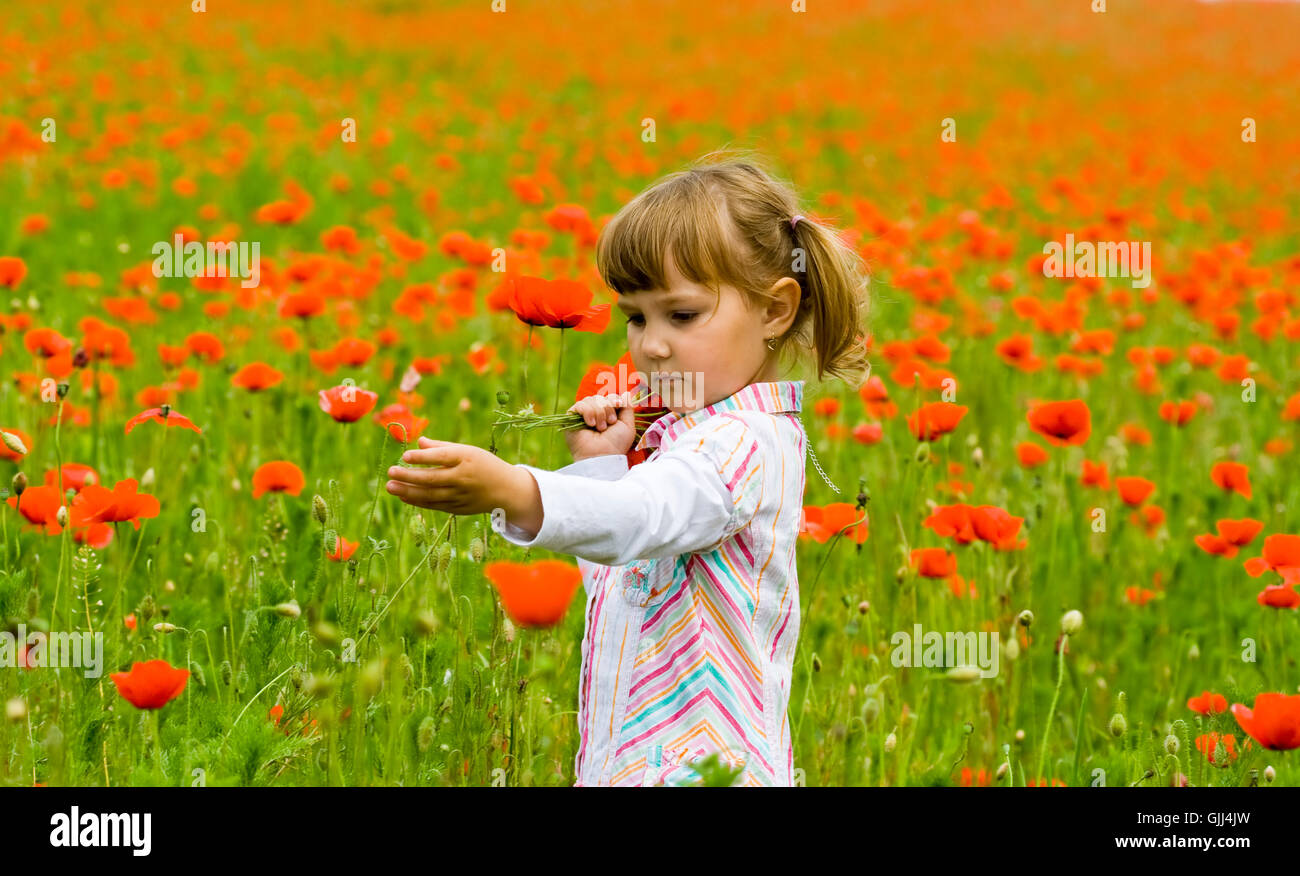 poppies girl girls Stock Photo - Alamy