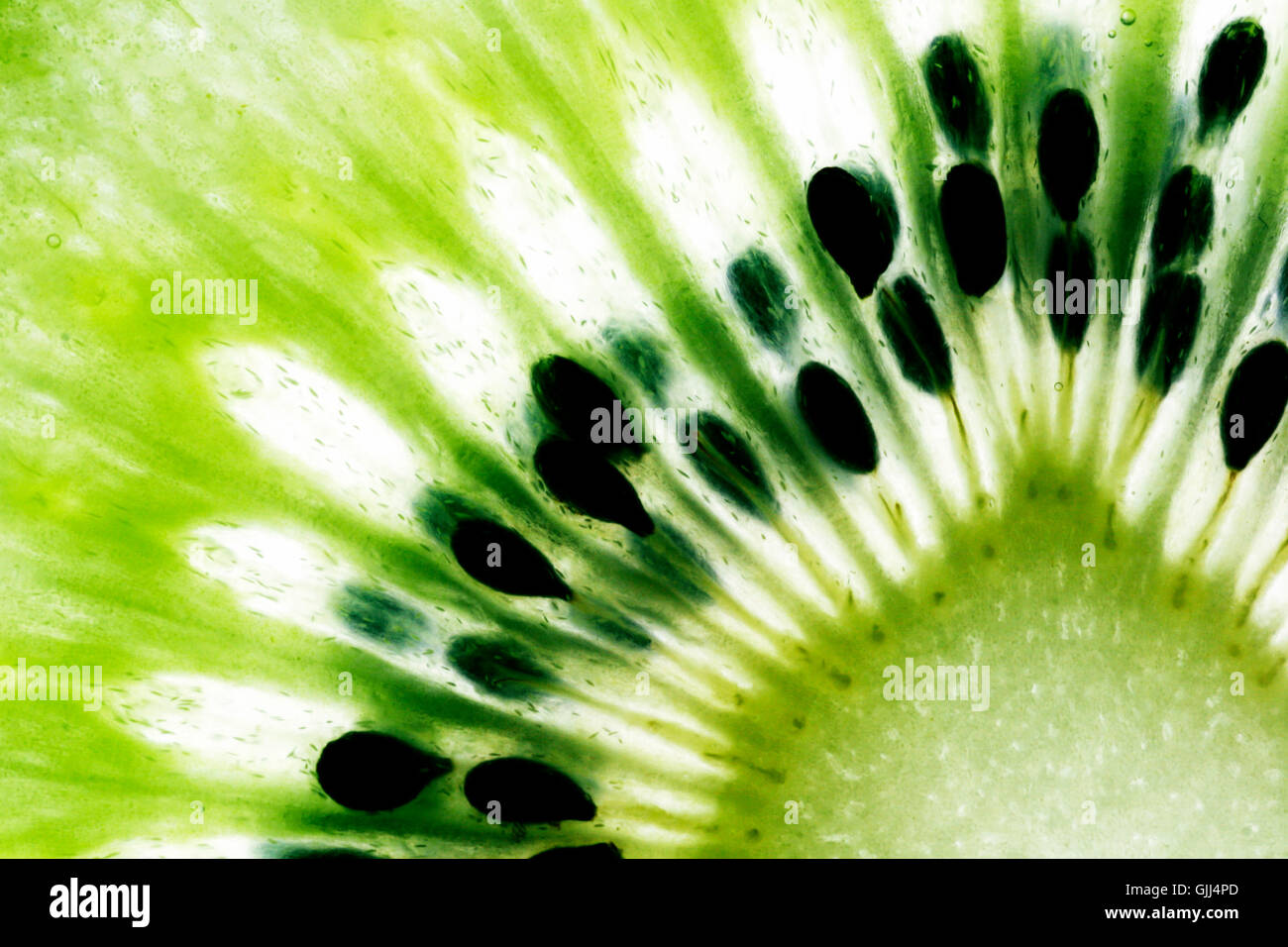 close detail green Stock Photo - Alamy